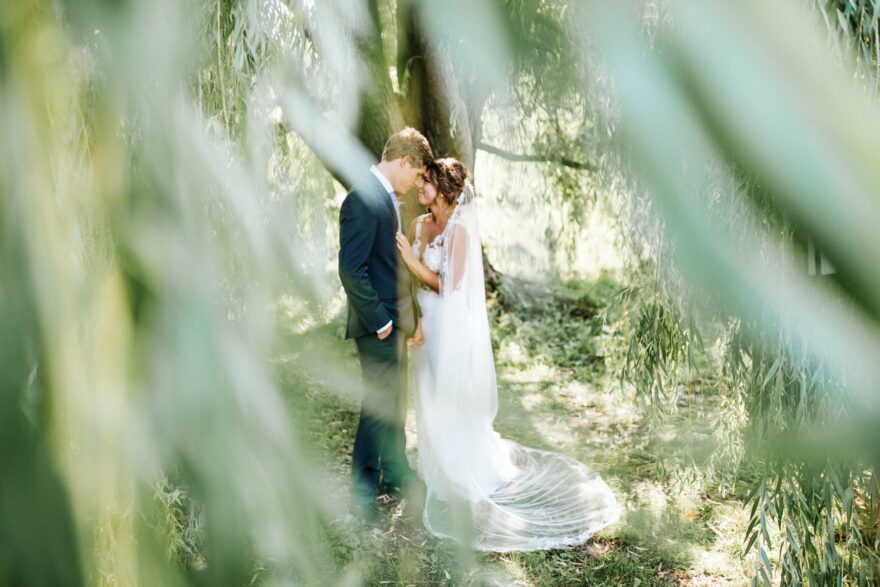 Collections – Giving Tree Photography